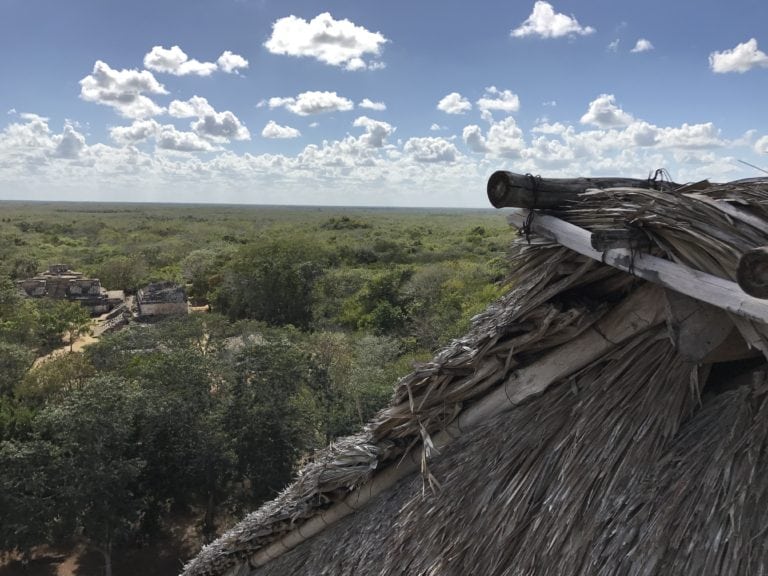 Modern Applications of Mayan Influences - OH THE PEOPLE YOU MEET